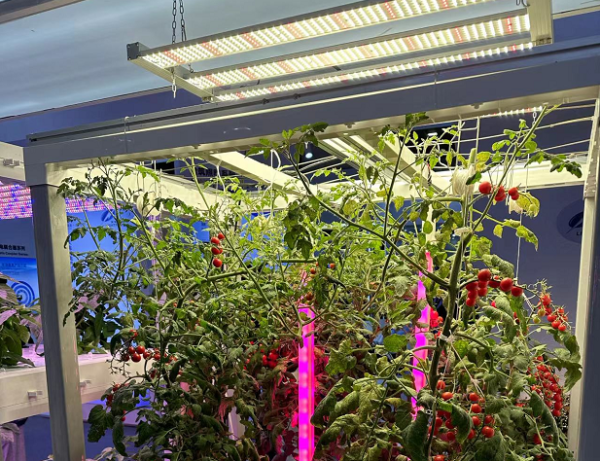 skived fin heat sink is used in LED plant lighting